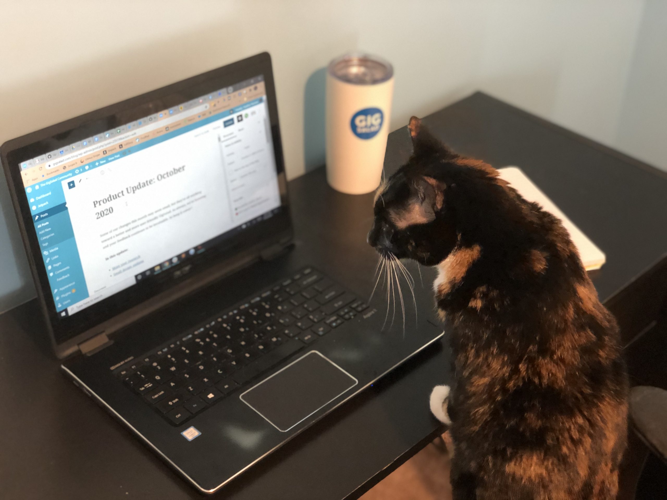 Product Update: October 2020 - The GigSalad Community