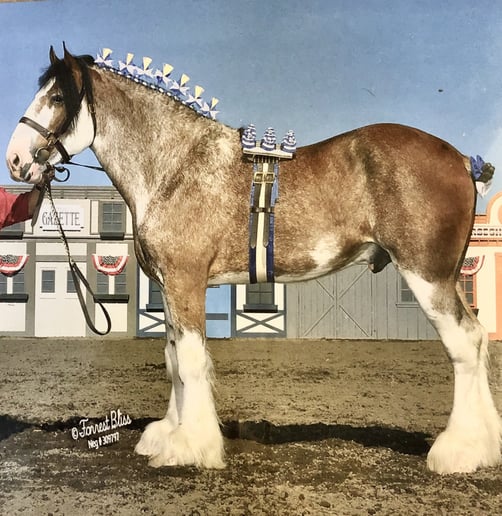 Hire Grand Carriages - Horse Drawn Carriage in Livermore, CA | GigSalad