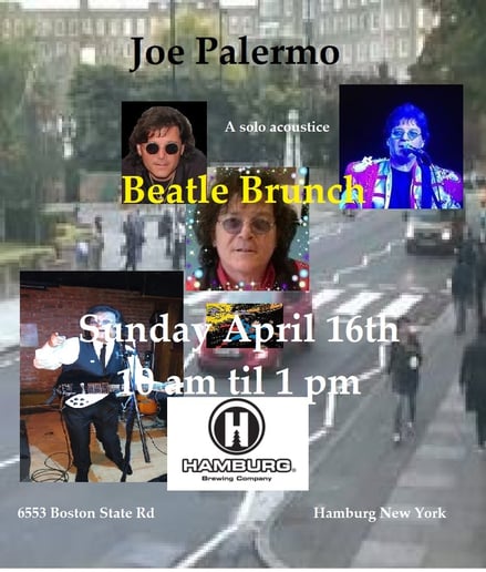 Hire Joe Palermo Beatlemania alumni - Guitarist in Longmont, CO | GigSalad