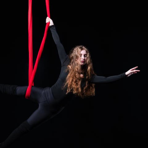 Hire Kayla Elizabeth Aerial - Aerialist in Columbus, OH | GigSalad