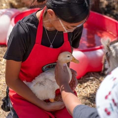 Hire Oasis Family Ranch Petting Zoo - Petting Zoo in Knightsen, CA ...