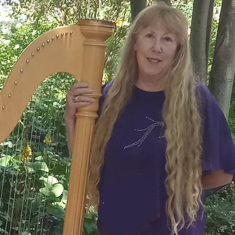 Hire Star Edwards - Harpist in Denver, CO | GigSalad